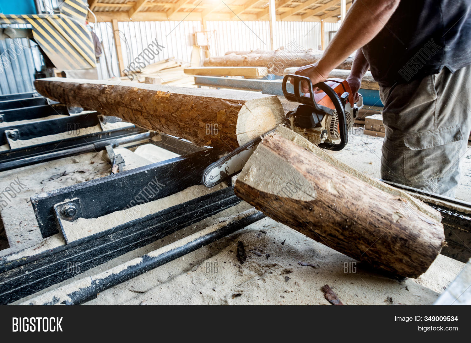 Woodcutter Cutting Image & Photo (Free Trial) | Bigstock