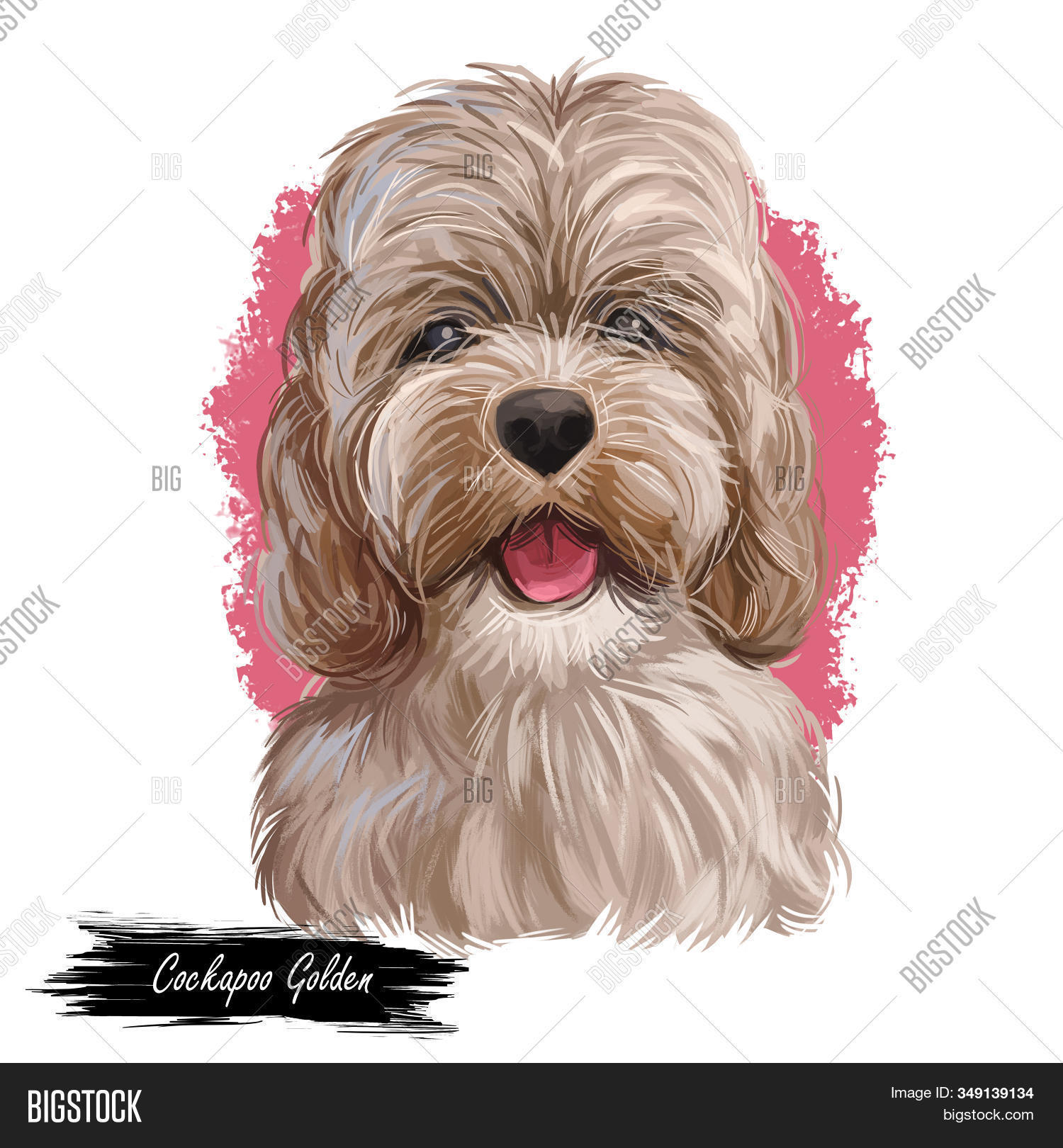 Golden Cockapoo Dog Image & Photo (Free Trial) | Bigstock