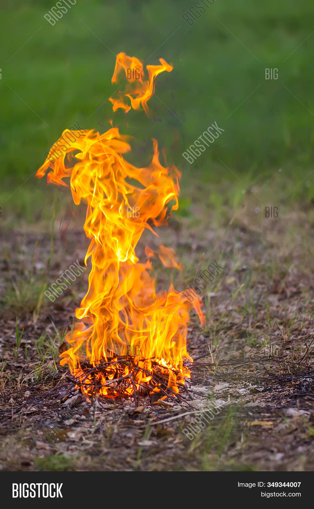 Bonfire Camp Summer Image & Photo (Free Trial) | Bigstock