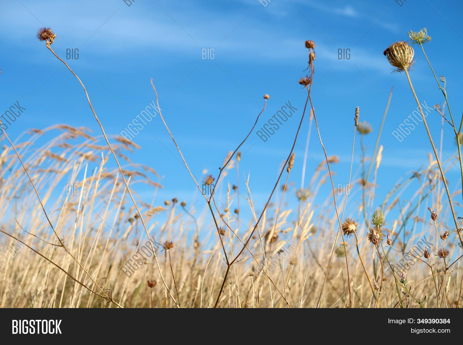 Nature Scenery Dry Image & Photo (Free Trial) | Bigstock