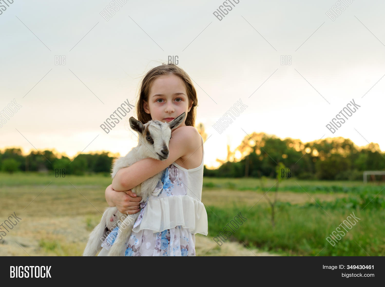 Girl Baby Goat On Farm Image & Photo (Free Trial) | Bigstock