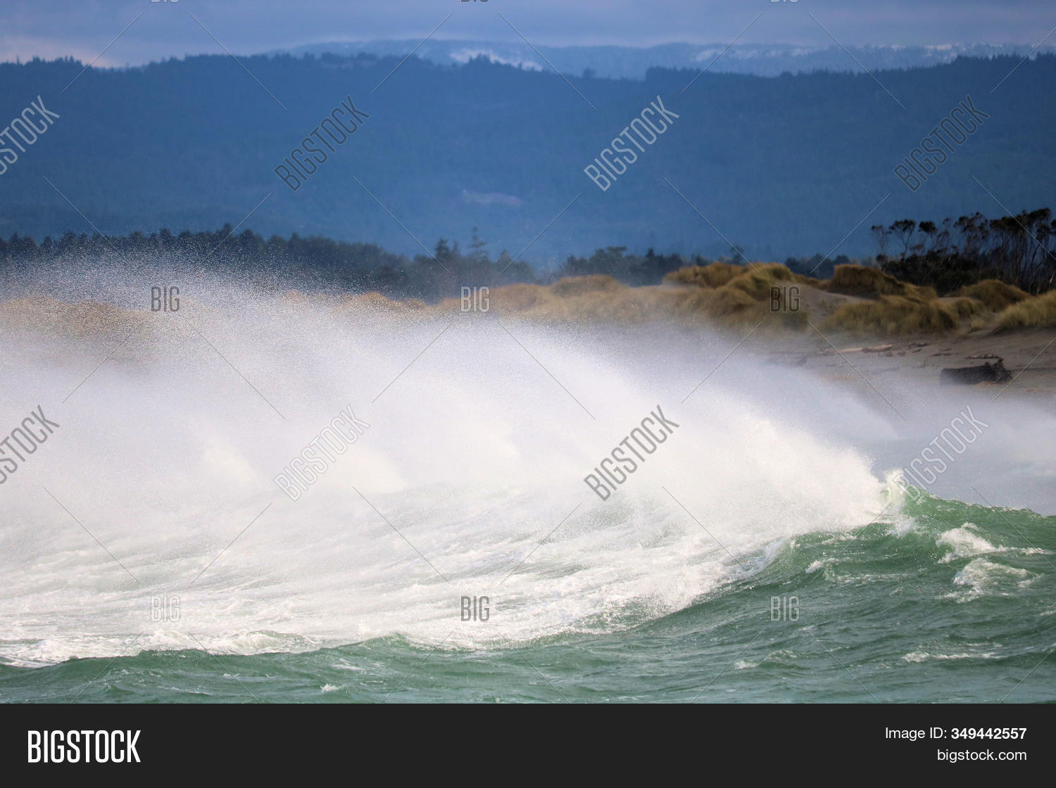 Severe Winds Causing Image & Photo (Free Trial) | Bigstock