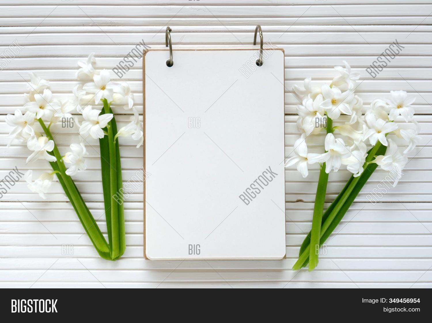 Spring Flat Lay.spring Image & Photo (Free Trial) | Bigstock