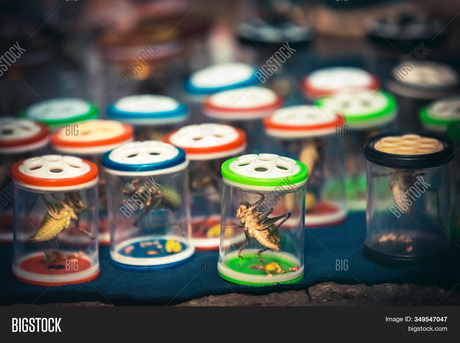 Chinese Fighting Image & Photo (Free Trial) | Bigstock