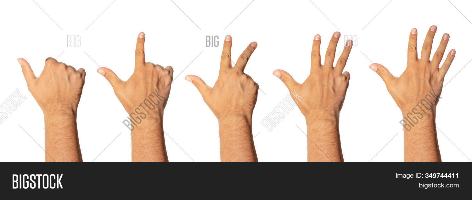 Hand Wrist Isolated Image & Photo (Free Trial) | Bigstock