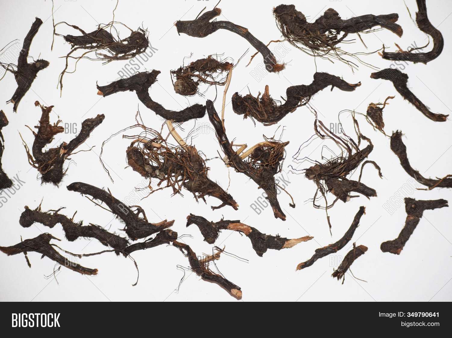 Dried Cypriol Cyperus Image & Photo (Free Trial) | Bigstock