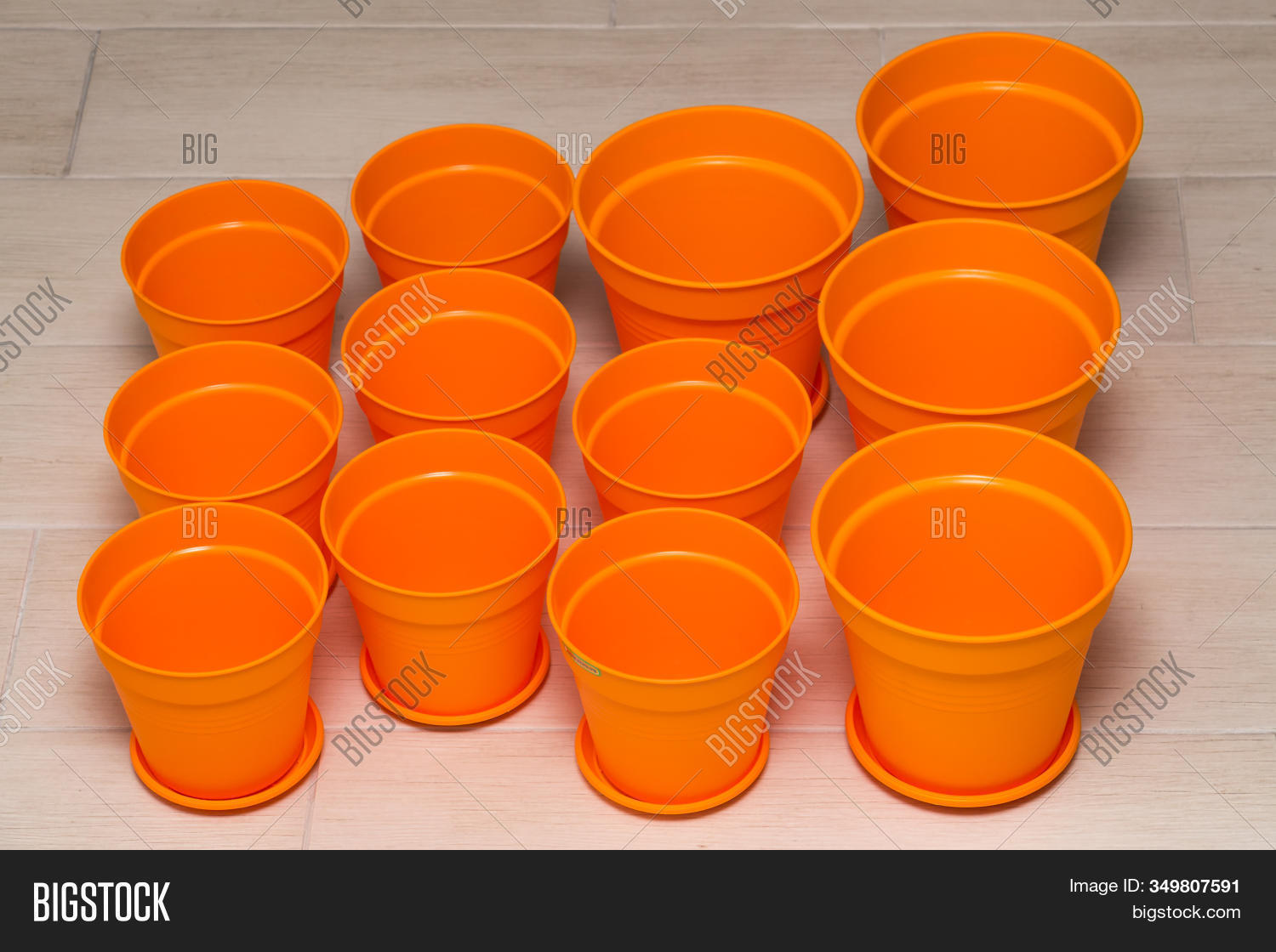 Bright Orange Flower Image & Photo (Free Trial) | Bigstock