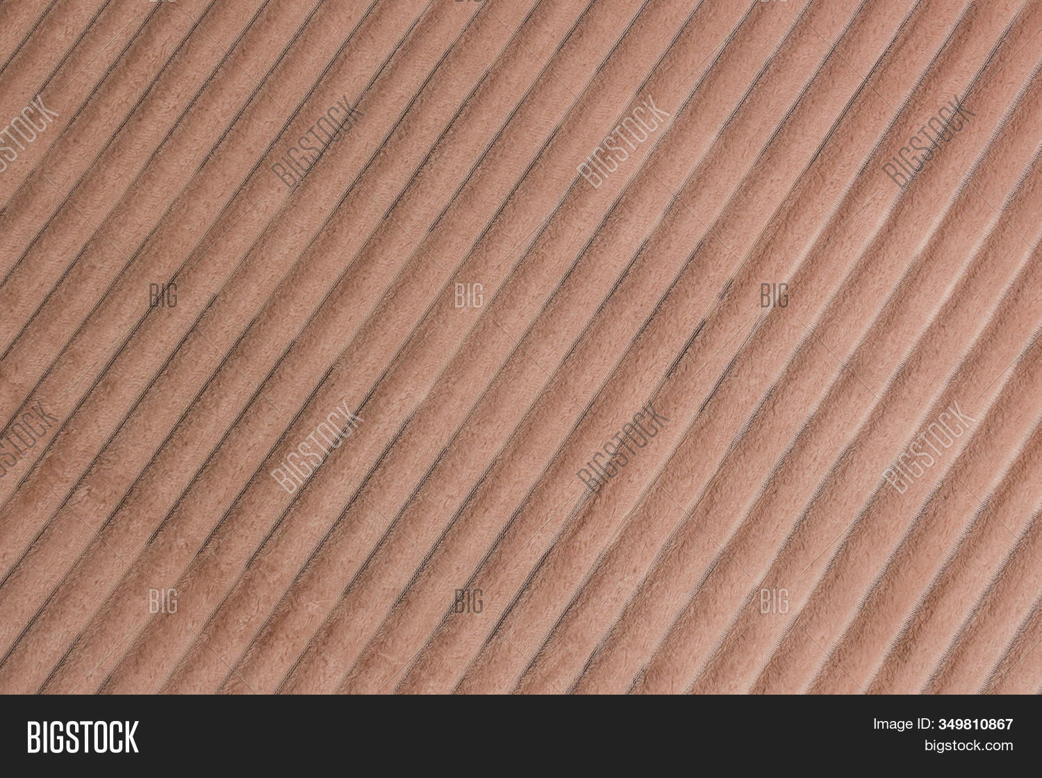 Beige Monochromatic Image & Photo (Free Trial) | Bigstock