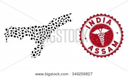 Vector Collage Assam Vector & Photo (Free Trial) | Bigstock