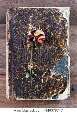 Antique Books And Roses Images, Illustrations & Vectors (Free) - Bigstock