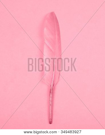Quill Pen Images, Illustrations & Vectors (Free) - Bigstock