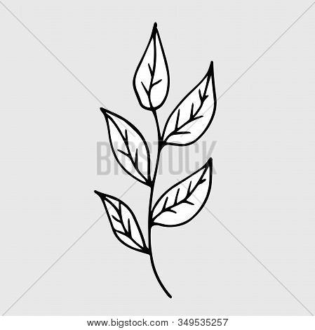 Vector Drawing Stem Vector & Photo (Free Trial) | Bigstock