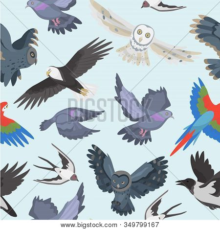 Ravenous Birds Vector & Photo (Free Trial) | Bigstock