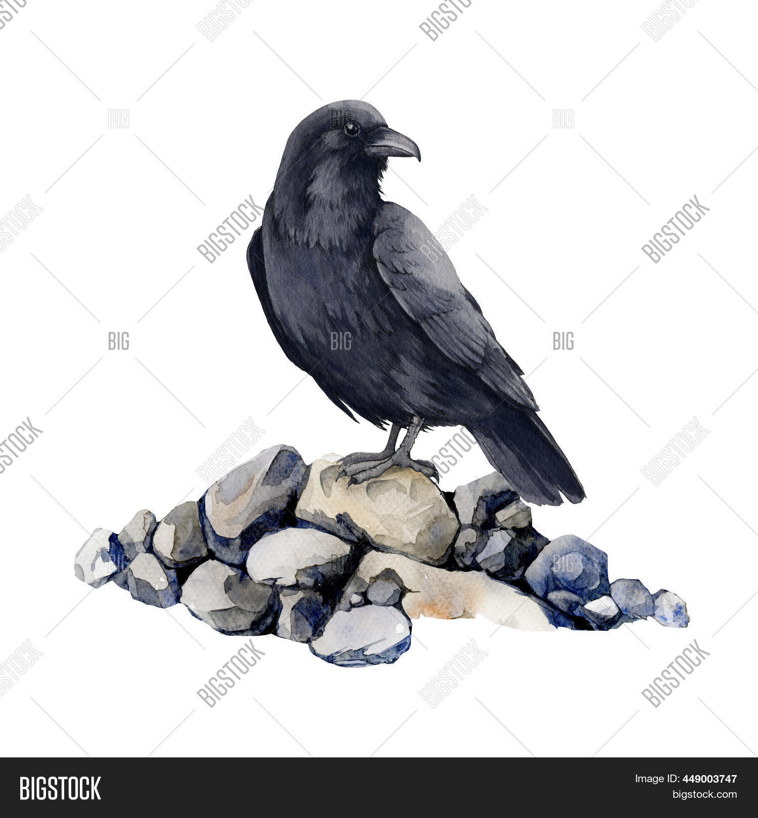 Raven Bird Sitting On Image & Photo (Free Trial) | Bigstock