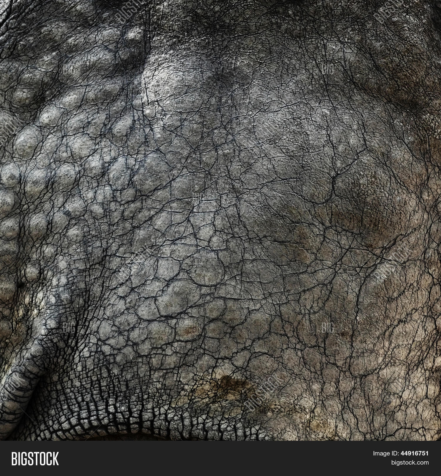Rhino Skin Texture