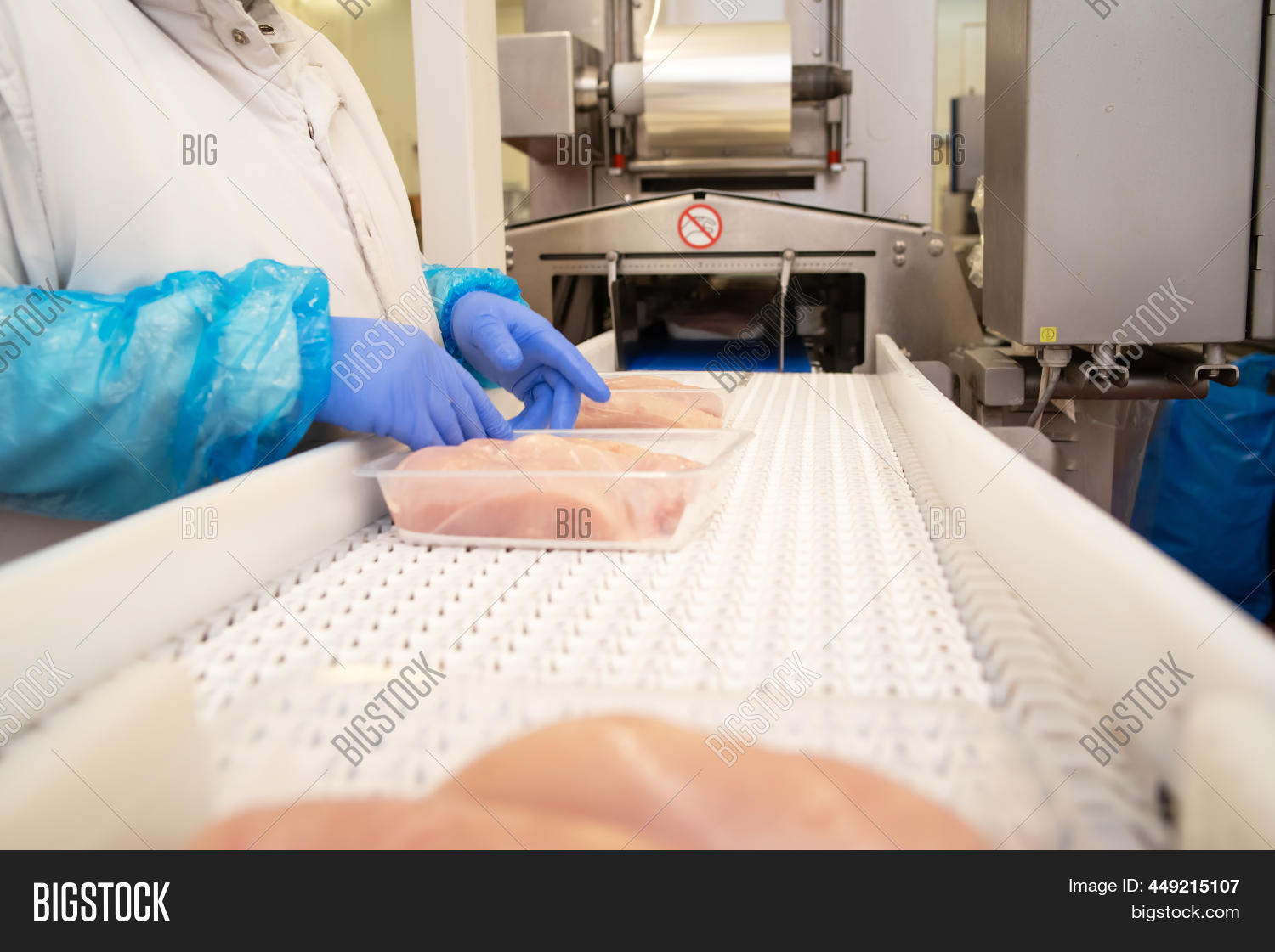 Modern Poultry Image & Photo (Free Trial) | Bigstock