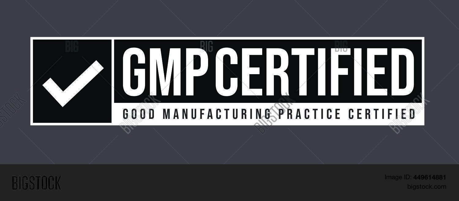 Gmp Certified Icon, Vector & Photo (Free Trial) | Bigstock