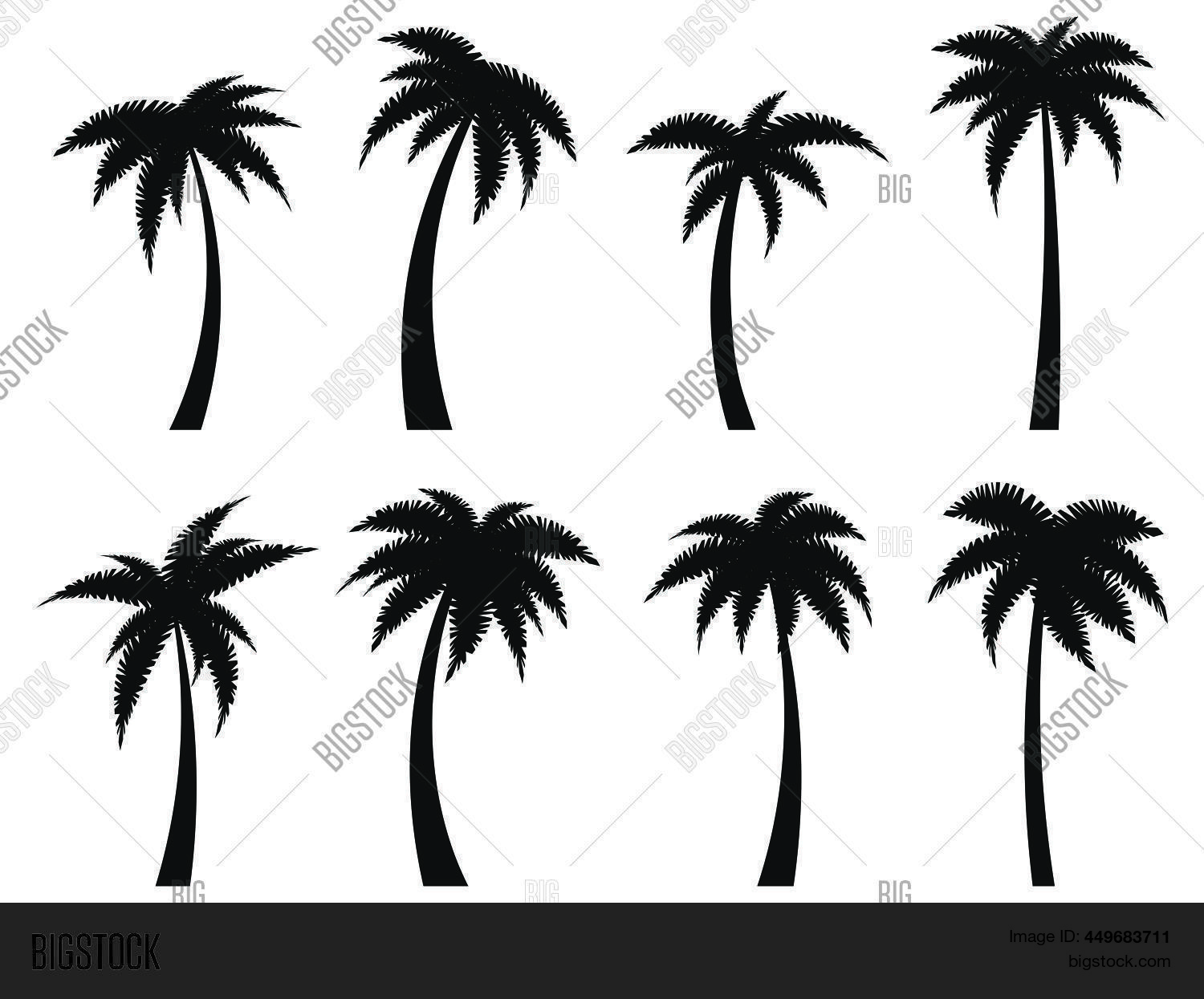 Black Palm Trees Set Vector & Photo (Free Trial) | Bigstock