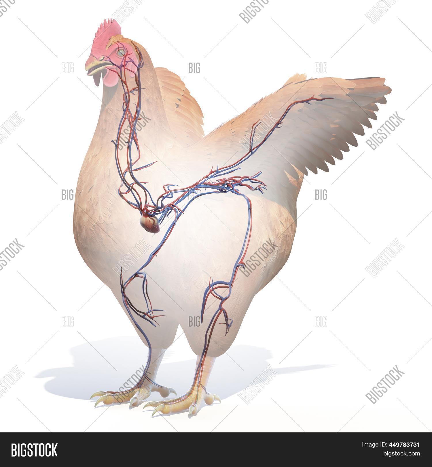 3d Rendered Image & Photo (Free Trial) | Bigstock