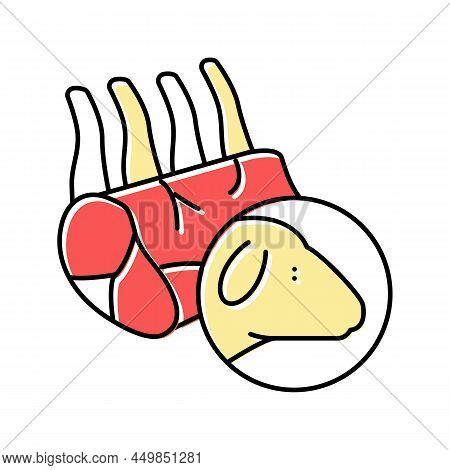 Mutton Meat Color Vector & Photo (Free Trial) | Bigstock
