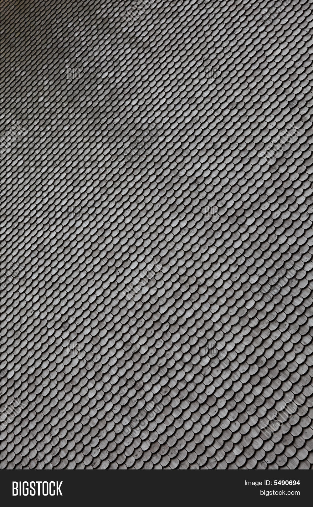 Scale Texture Image & Photo (Free Trial) | Bigstock