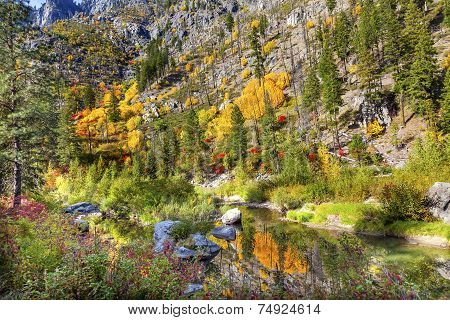 Fall Yellow Red Green Image & Photo (Free Trial) | Bigstock