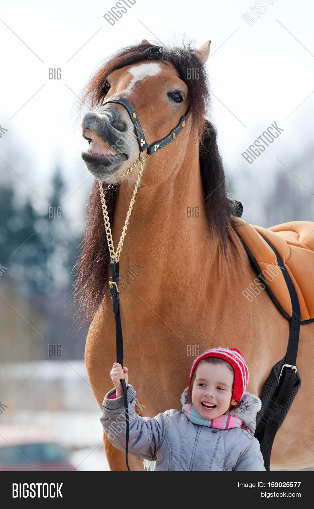 Portrait Horse Child Image & Photo (Free Trial) | Bigstock