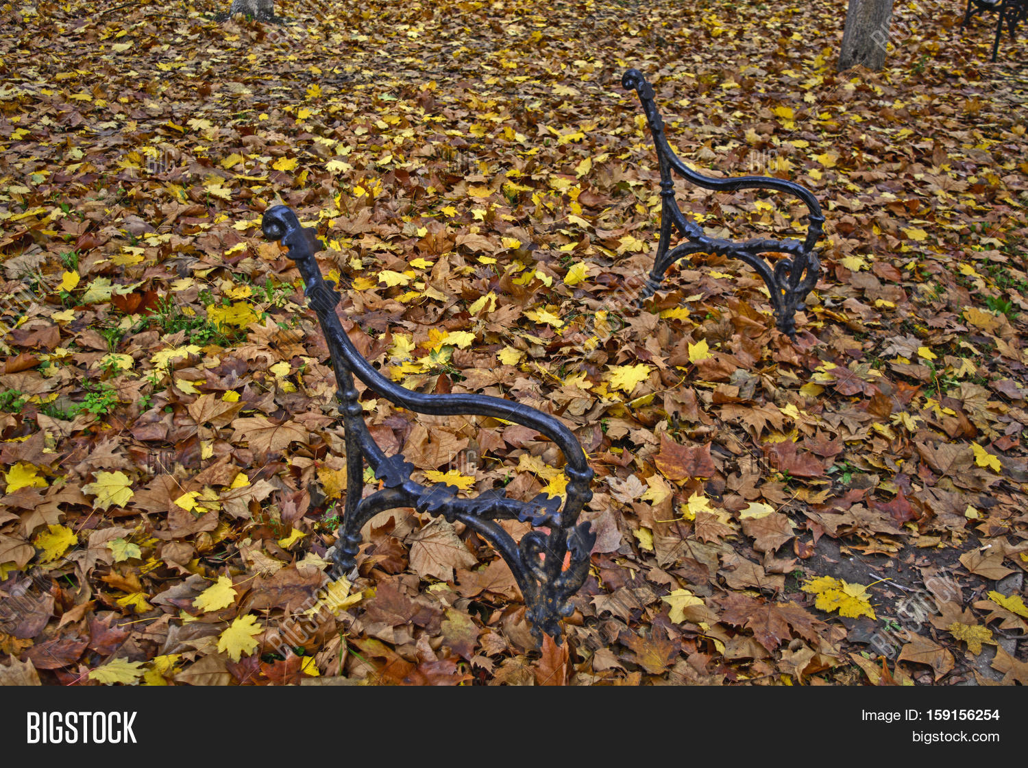 Invisible Bench Which Image & Photo (Free Trial) | Bigstock