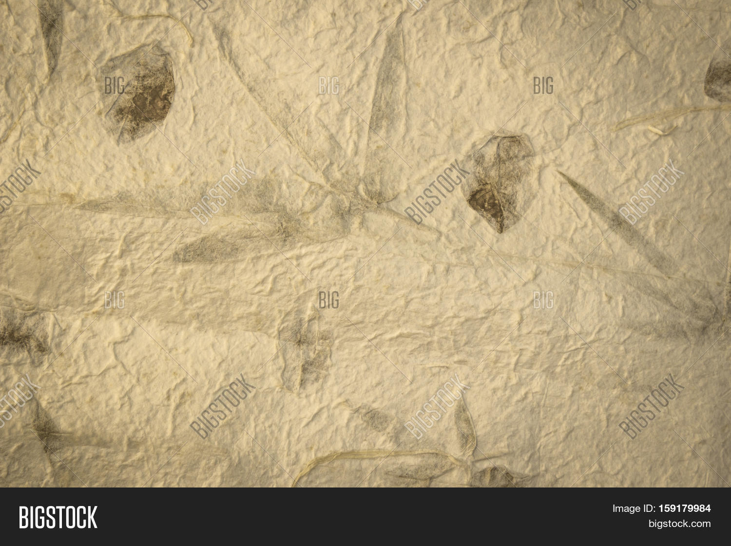 Natural Recycled Paper Image & Photo (Free Trial) | Bigstock