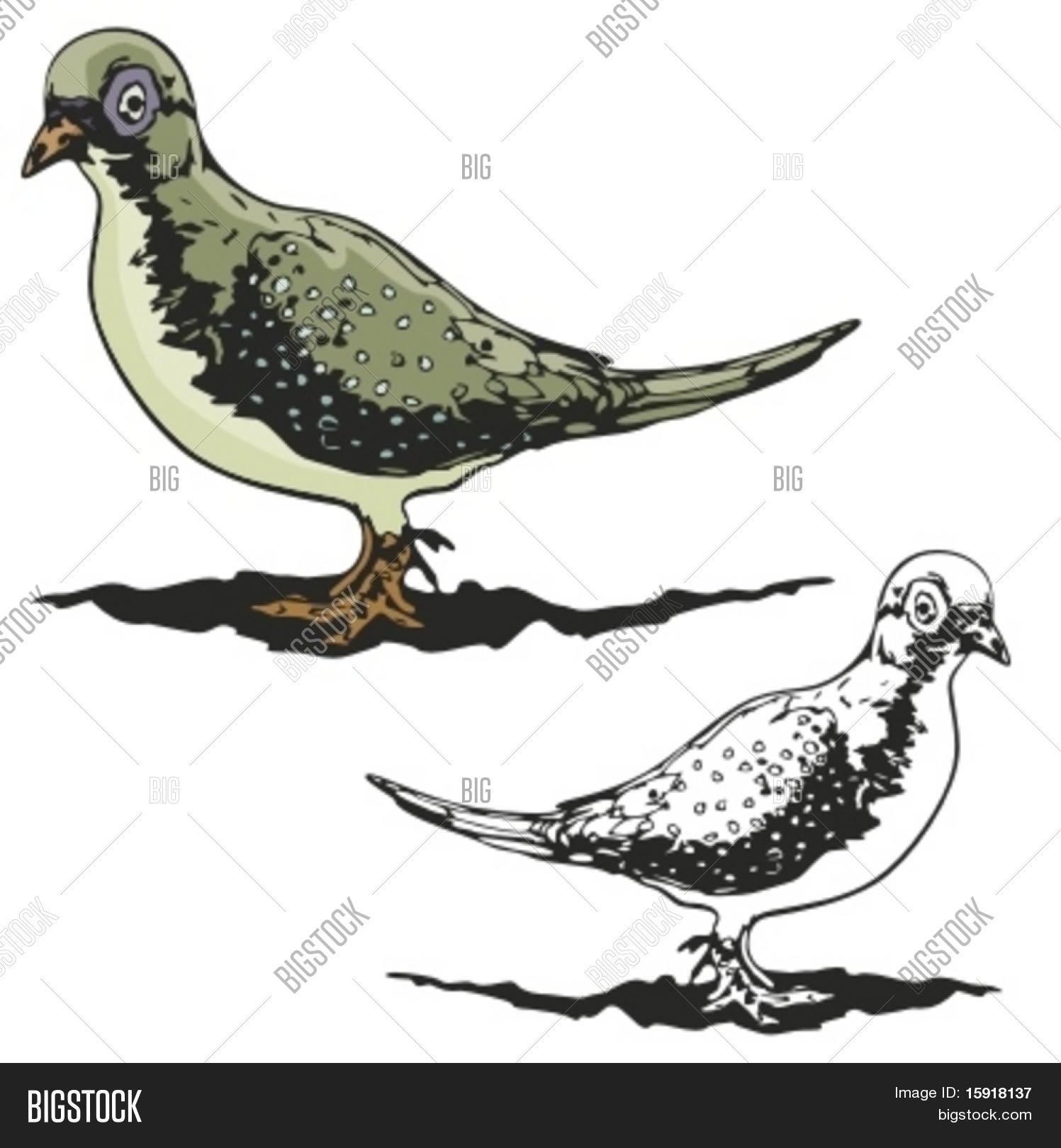 Bird Mascot Sport Vector & Photo (Free Trial) | Bigstock