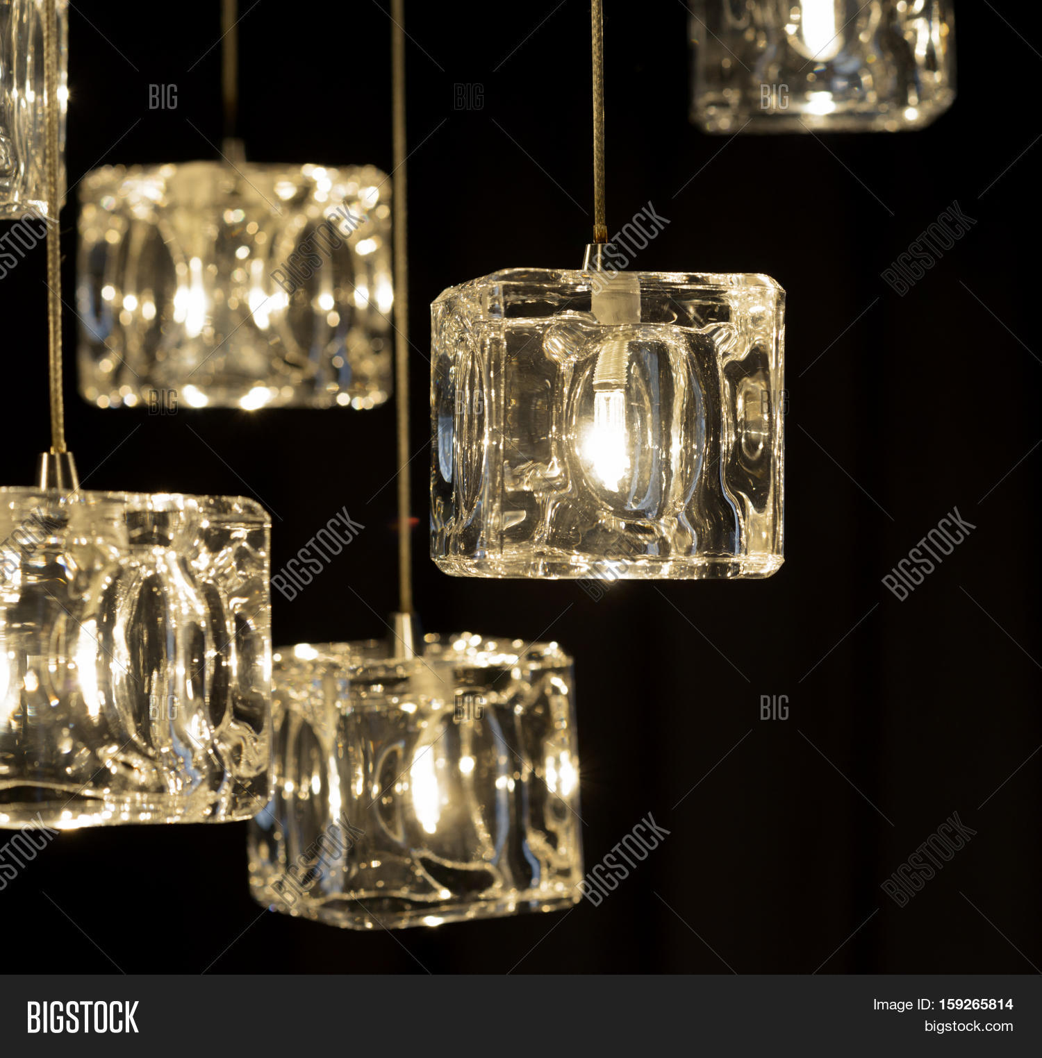 Closeup View Image & Photo (Free Trial) | Bigstock