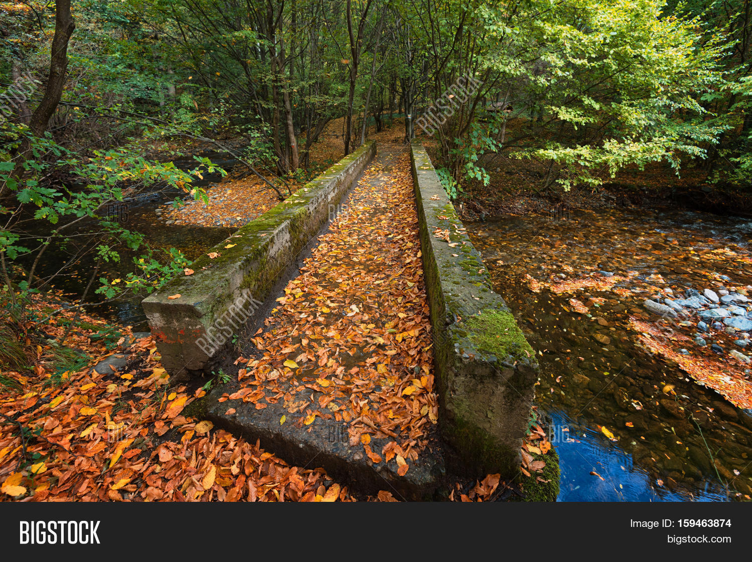 Stara Reka Reserve Image & Photo (Free Trial) | Bigstock