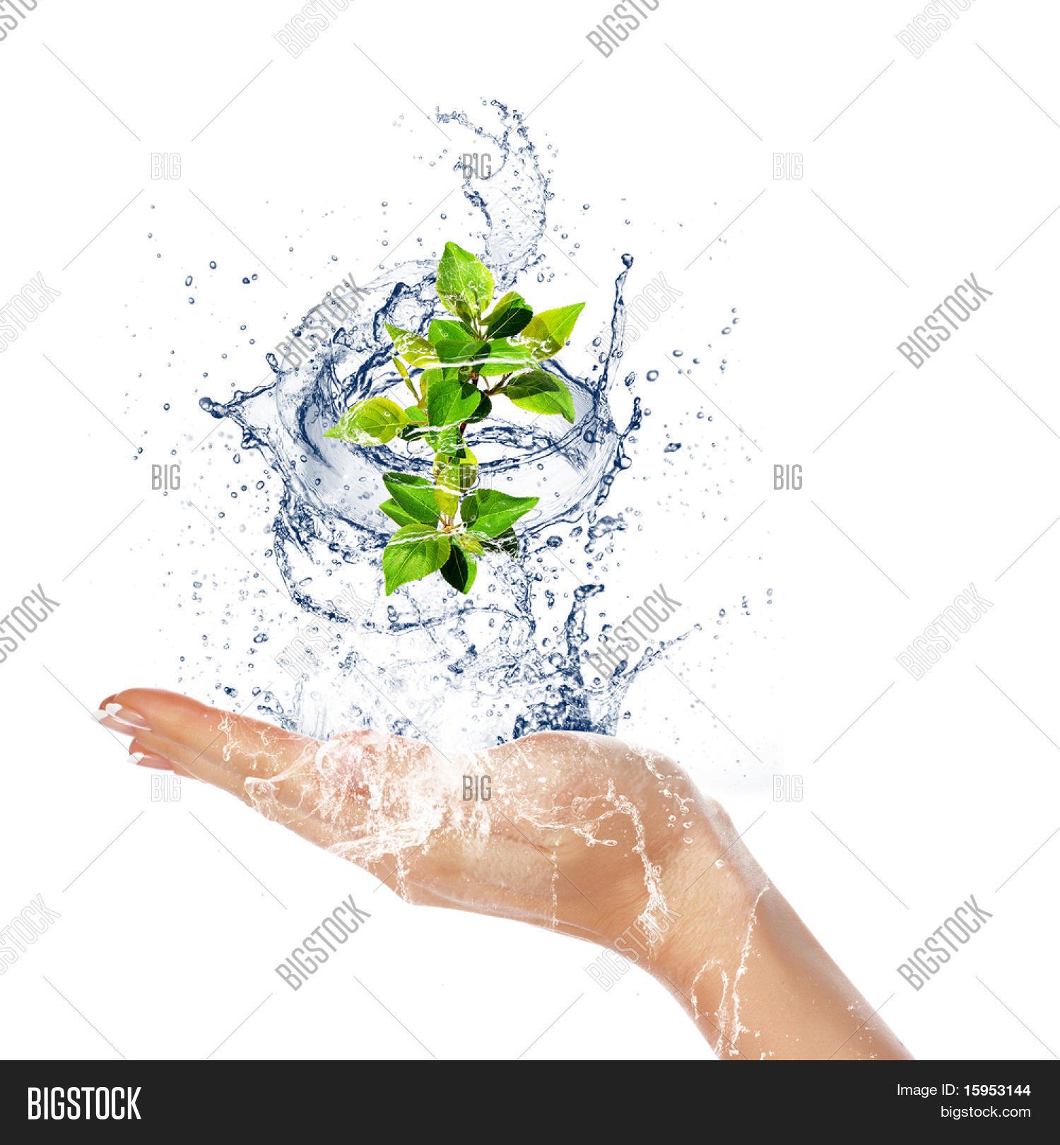 Young Sprout Human Image & Photo (Free Trial) | Bigstock