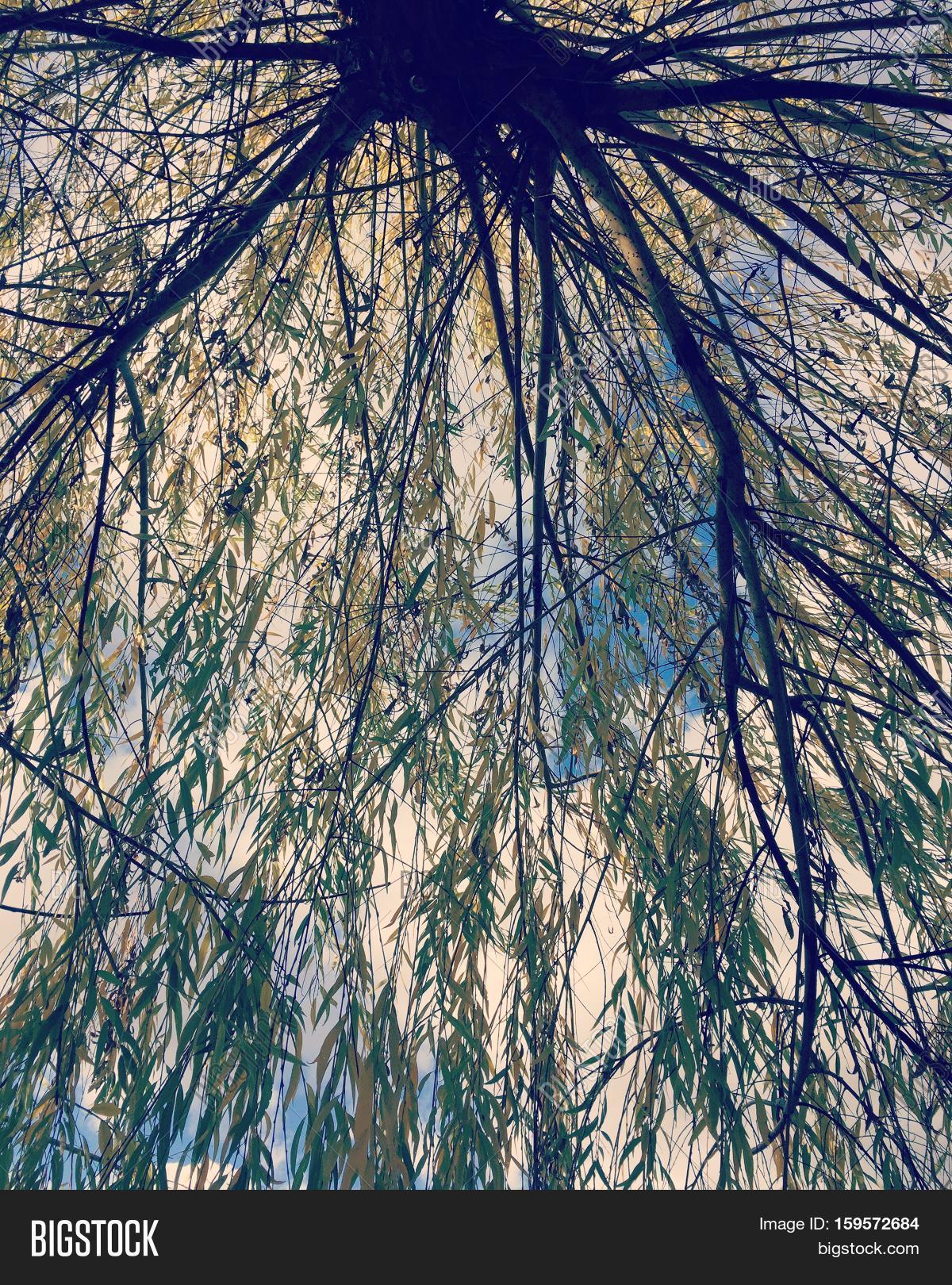 Looking Sky Underneath Image & Photo (Free Trial) | Bigstock