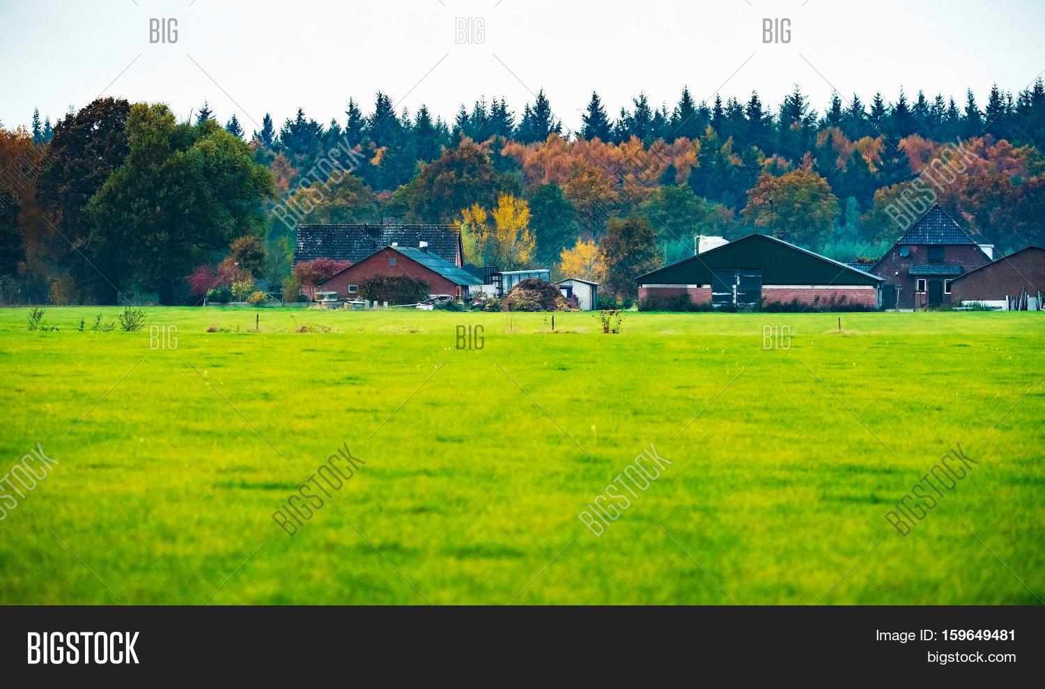 Dutch Farm Field Front Image & Photo (Free Trial) | Bigstock