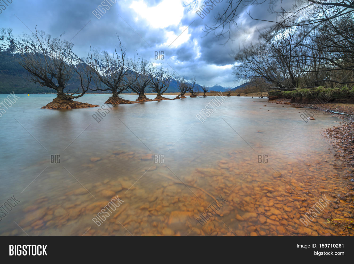 Famous Willow Trees Image & Photo (Free Trial) | Bigstock