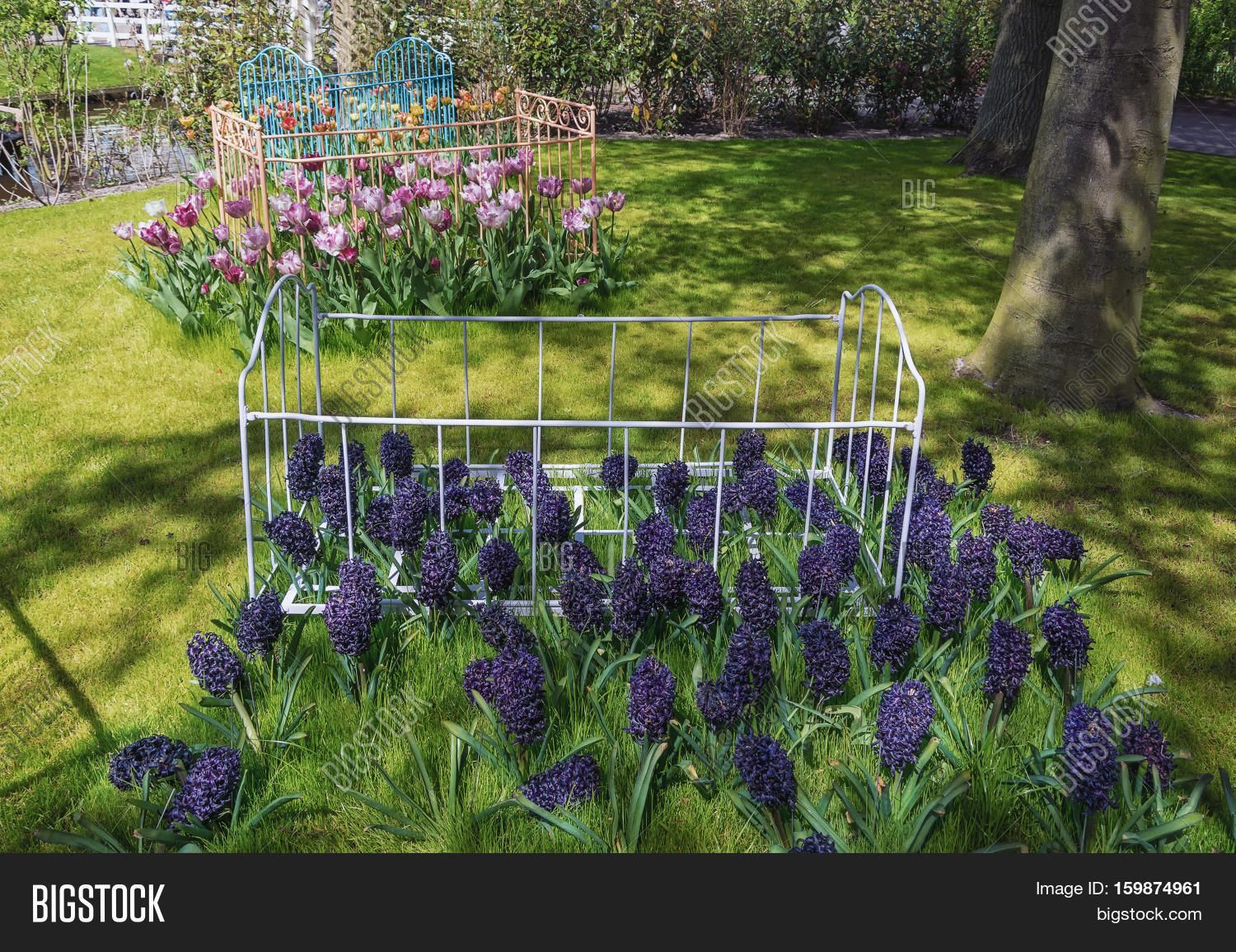 Composition Flowers Image & Photo (Free Trial) | Bigstock