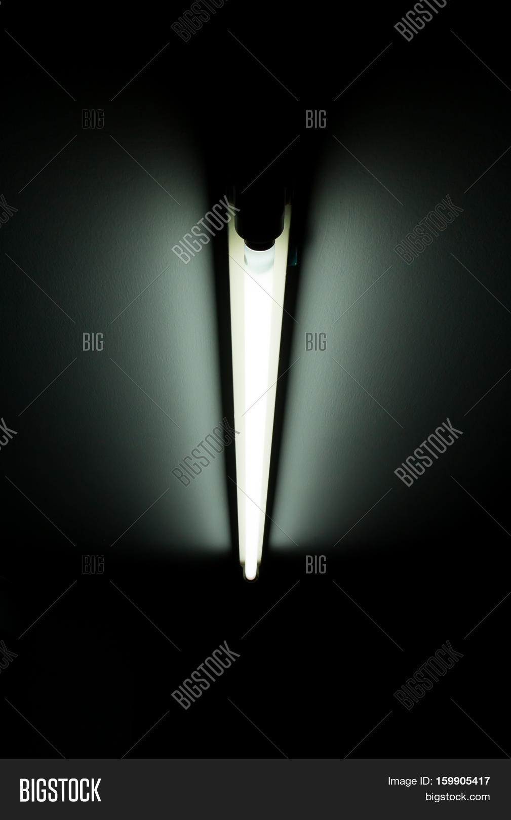 Detail Fluorescent Image & Photo (Free Trial) | Bigstock