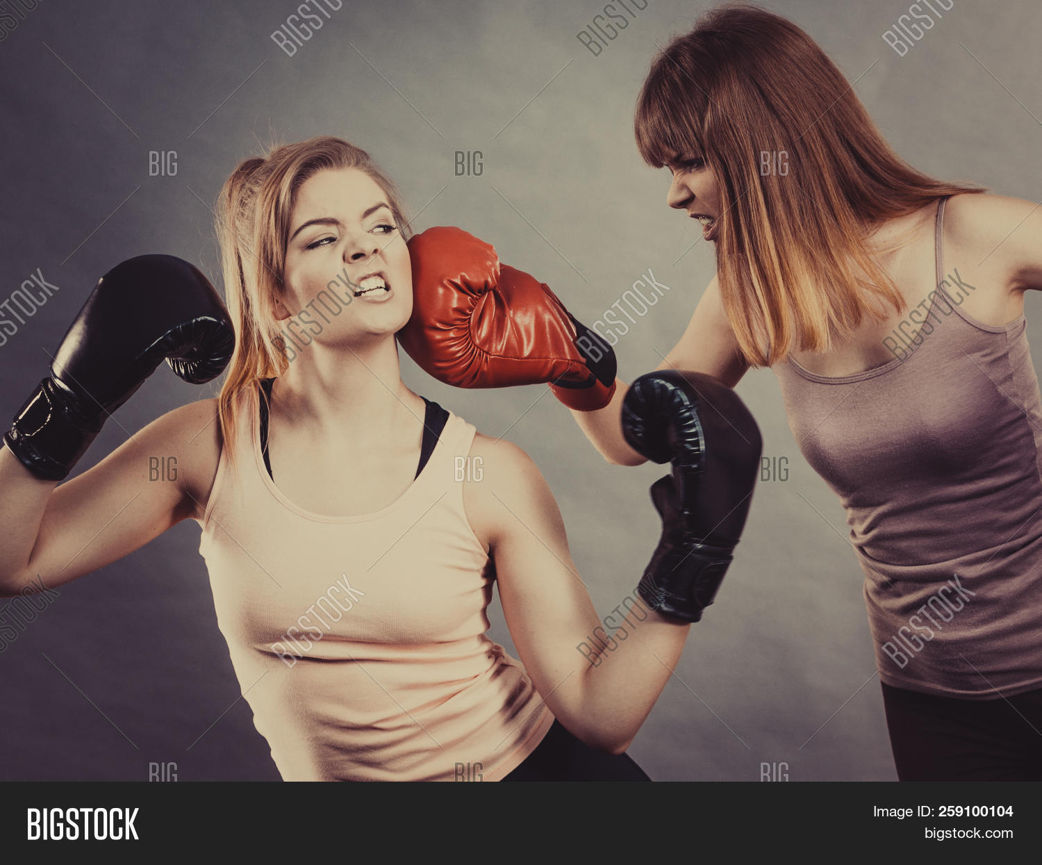 Two Agressive Women Image & Photo (Free Trial) | Bigstock