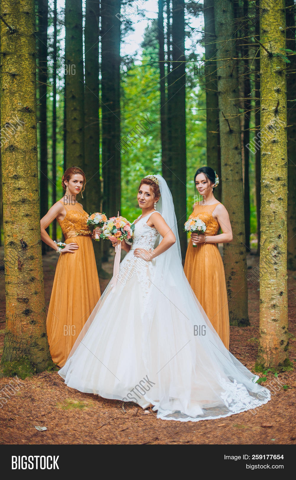 Group Portrait Bride Image & Photo (Free Trial) | Bigstock
