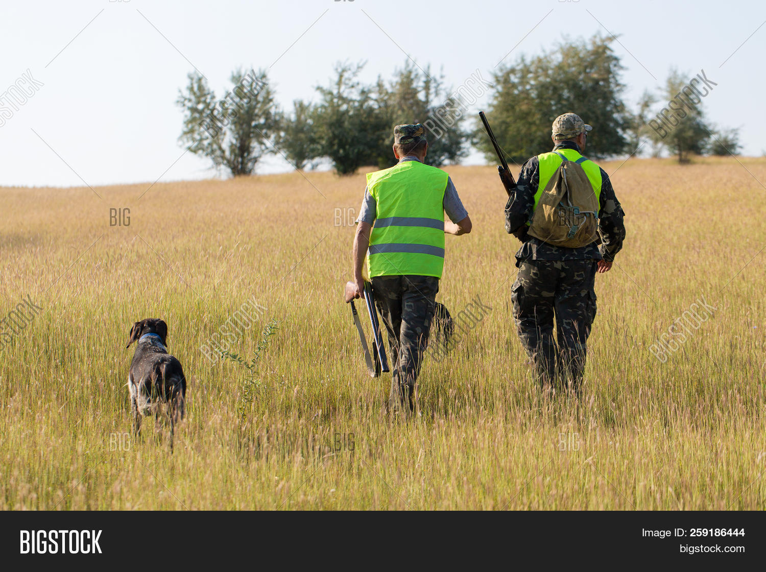 Hunter German Trotter Image & Photo (Free Trial) | Bigstock