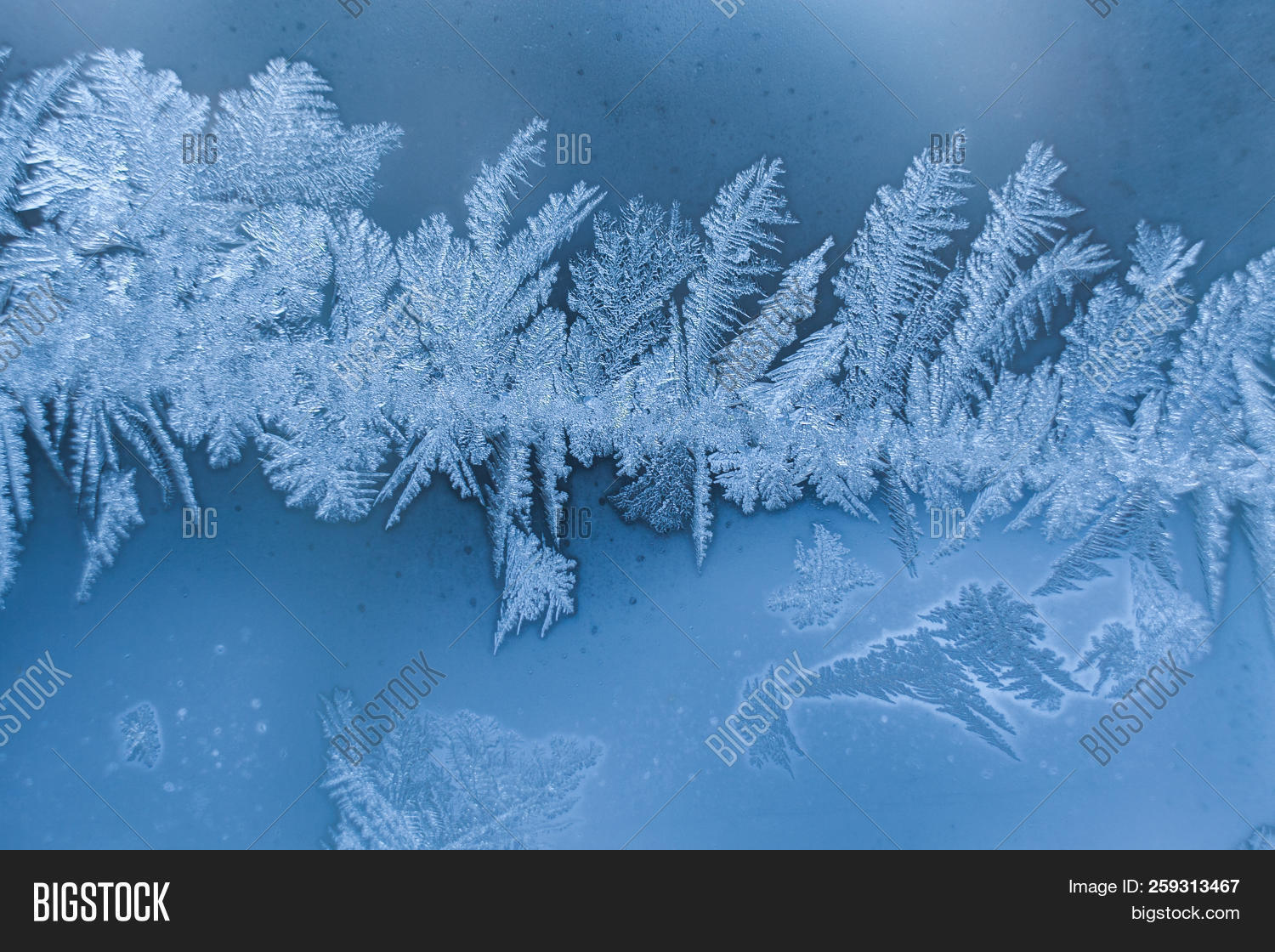 Stripe Winter Frosty Image & Photo (Free Trial) | Bigstock