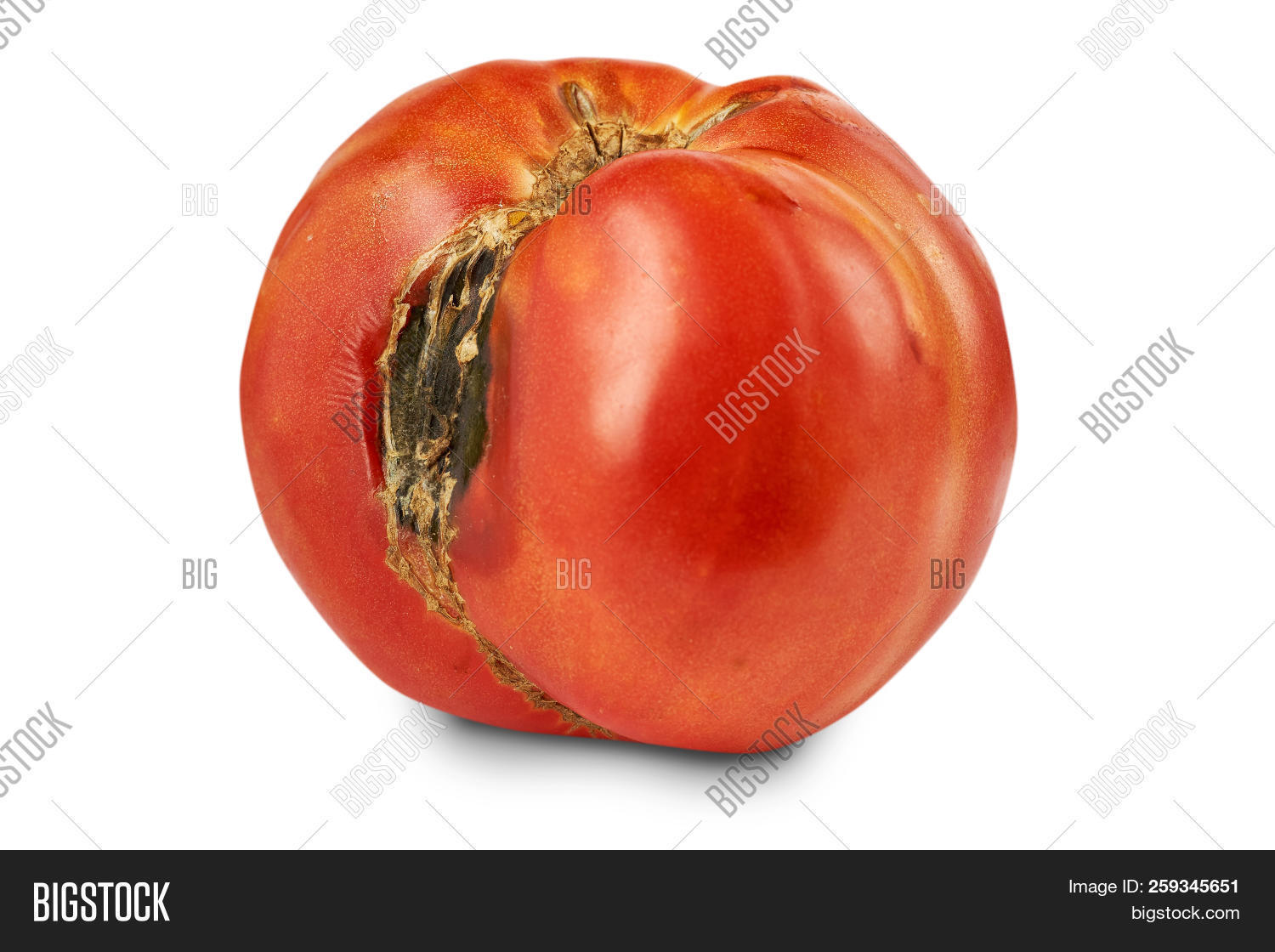 Spoiled, Rotten Red Image & Photo (Free Trial) | Bigstock