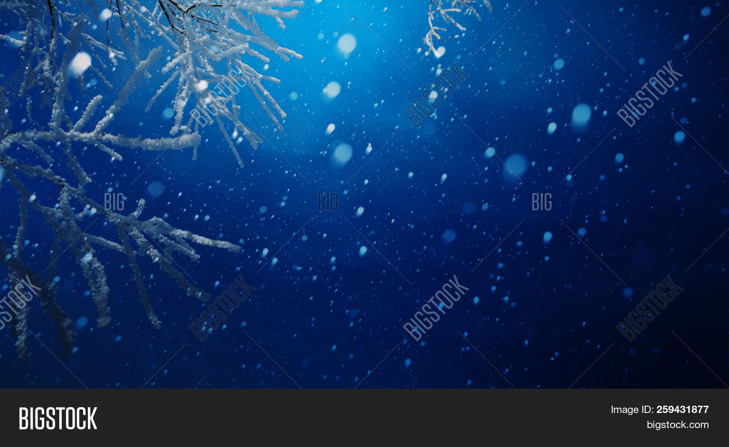 Blue Christmas Image & Photo (Free Trial) | Bigstock