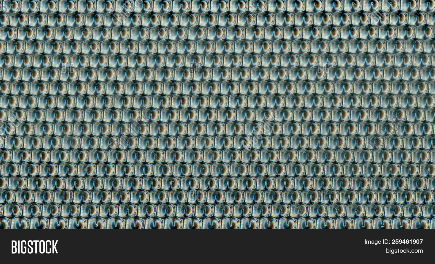 Semi Transparent Image & Photo (Free Trial) | Bigstock