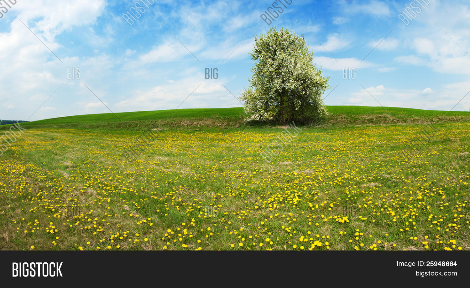 Beautiful Spring Image & Photo (Free Trial) | Bigstock