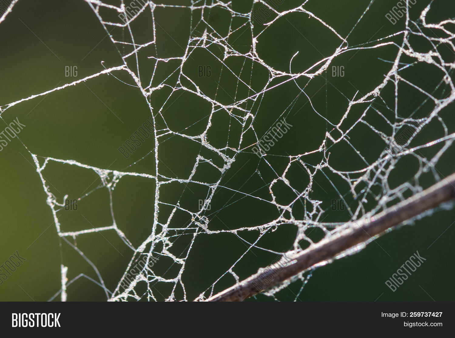 Close Look Torn Image & Photo (Free Trial) | Bigstock