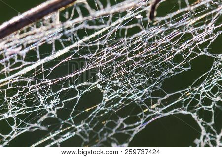 Close Look Torn Image & Photo (Free Trial) | Bigstock