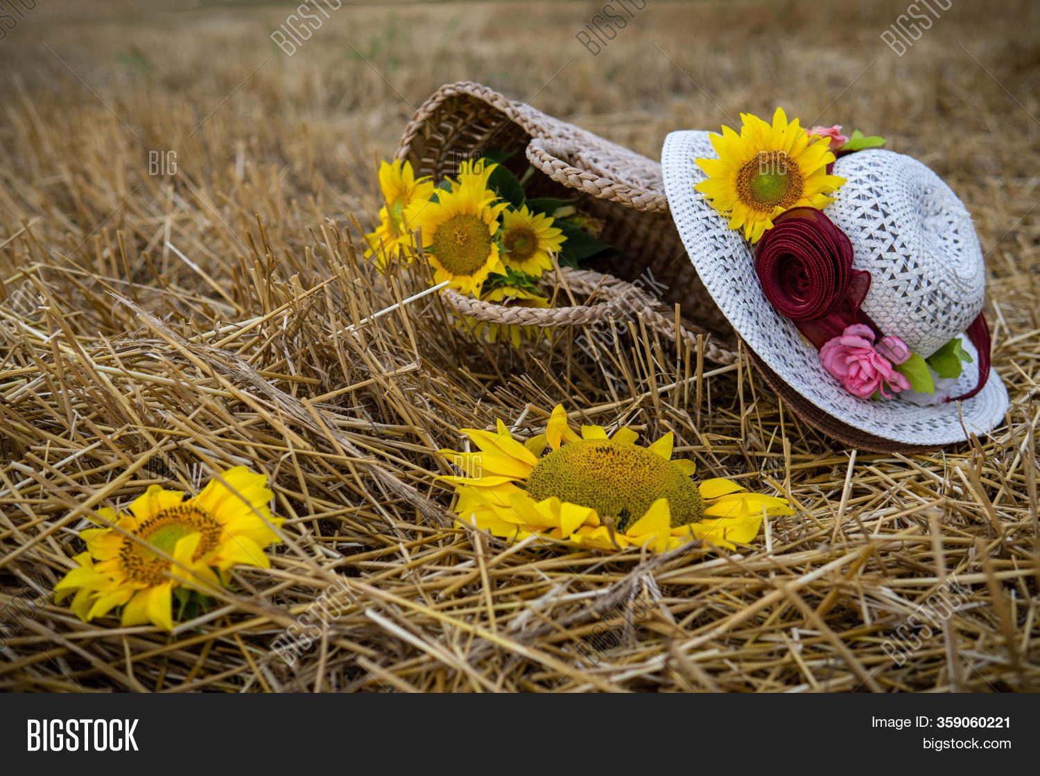 Still Life Hats Image & Photo (Free Trial) | Bigstock