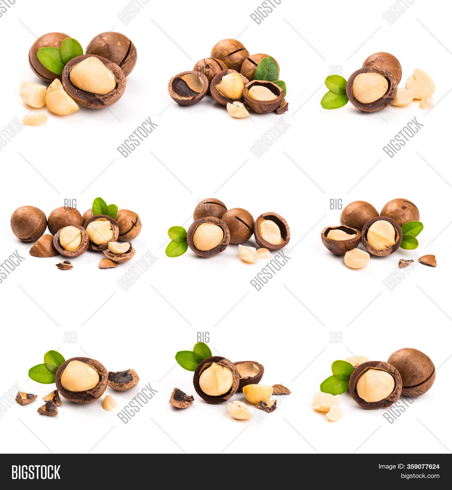 Macadamia Nut Pieces Image & Photo (Free Trial) | Bigstock